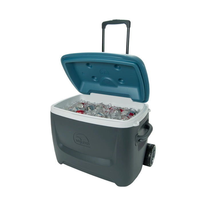 Ice Dump & Mini Freezer Hire | Keep Your Drinks Chilled